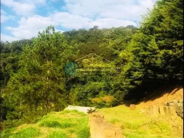 Terreno / Lote para Venda em Santo Antônio do Pinhal/SP Centro
