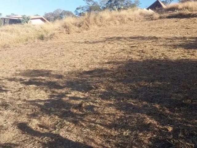 Terreno / Lote para Venda em Santo Antônio do Pinhal/SP Centro