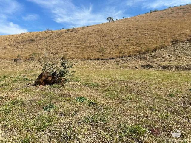 Terreno / Lote para Venda em Santo Antônio do Pinhal/SP Centro