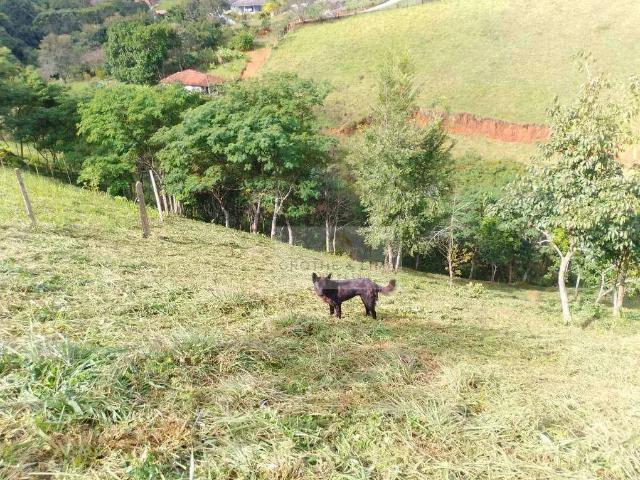 Terreno / Lote para Venda em Santo Antônio do Pinhal/SP Rio Preto