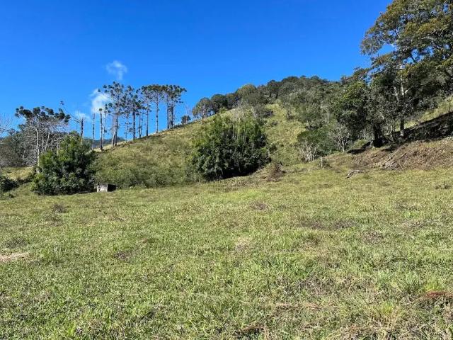Terreno / Lote para Venda em Santo Antônio do Pinhal/SP Zona Rural