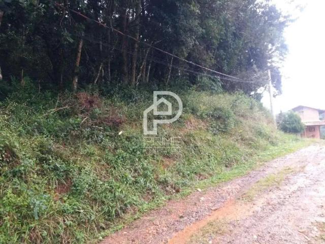 Terreno / Lote para Venda em Santo Antônio do Pinhal/SP Zona Rural