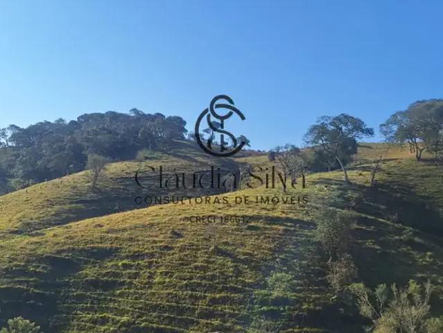 Terreno / Lote para Venda em Santo Antônio do Pinhal/SP Zona Rural