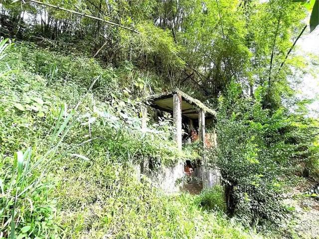 Terreno / Lote para Venda em Santos/SP Morro Nova Cintra