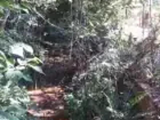 Terreno / Lote para Venda em Sabará/MG Área Rural de Sabará