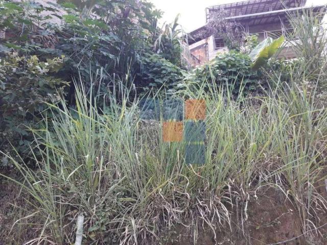 Terreno / Lote para Venda em Sabará/MG Morro São Francisco