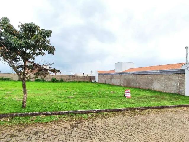 Terreno / Lote para Venda em Saltinho/SP Mato Alto