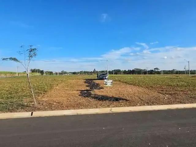 Terreno / Lote para Venda em Saltinho/SP Mato Alto