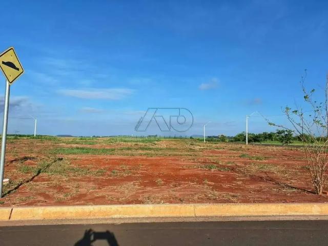 Terreno / Lote para Venda em Saltinho/SP Nossa Senhora Aparecida