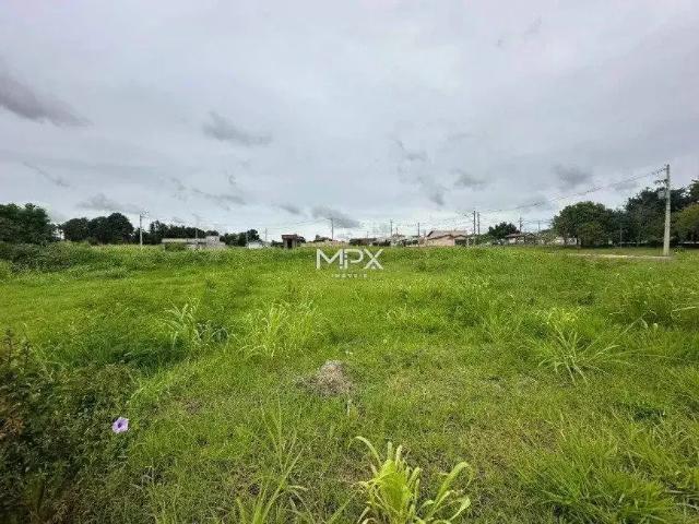 Terreno / Lote para Venda em Saltinho/SP Nova Saltinho