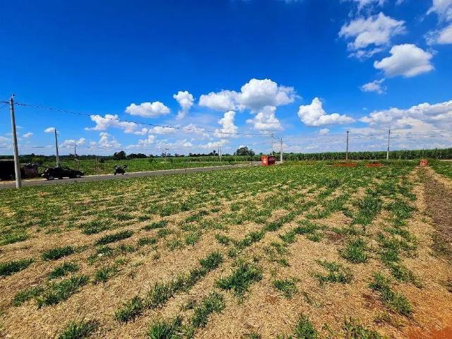 Terreno / Lote para Venda em Saltinho/SP Loteamento Bela Vida