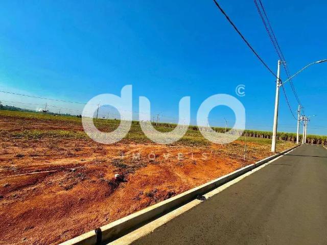 Terreno / Lote para Venda em Saltinho/SP Loteamento Bela Vida
