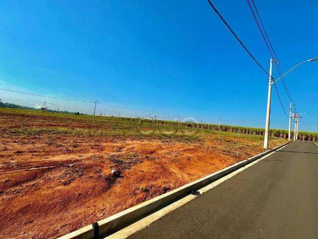 Terreno / Lote para Venda em Saltinho/SP Loteamento Bela Vida