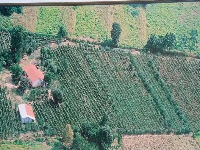 Terreno / Lote para Venda em Salto/SP Olaria