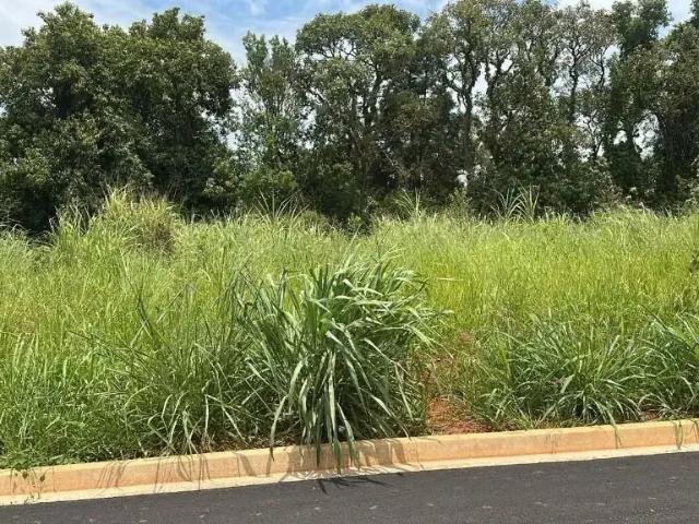Terreno / Lote para Venda em Salto/SP Jardim Tropical