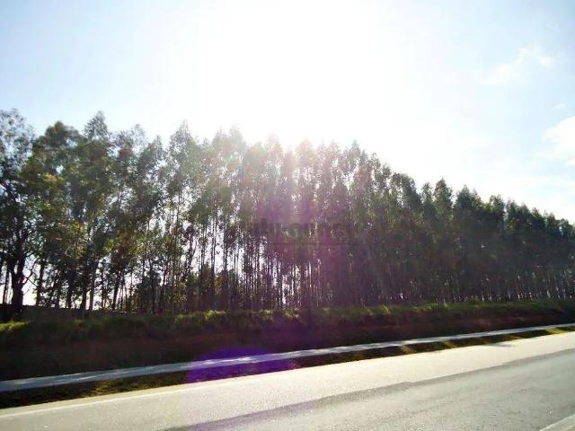Terreno / Lote para Venda em Salto/SP Canjica