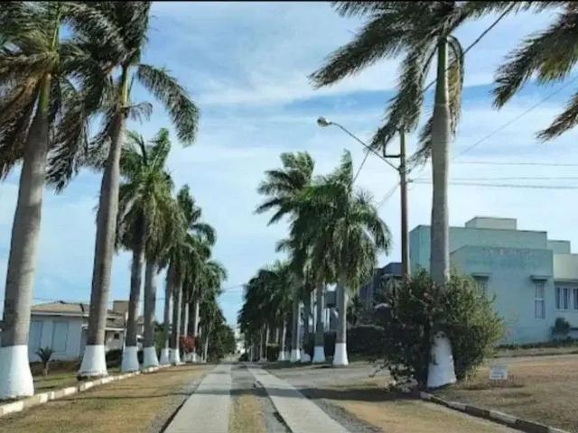 Terreno / Lote para Venda em Salto/SP Condomínio Palmeiras Imperiais