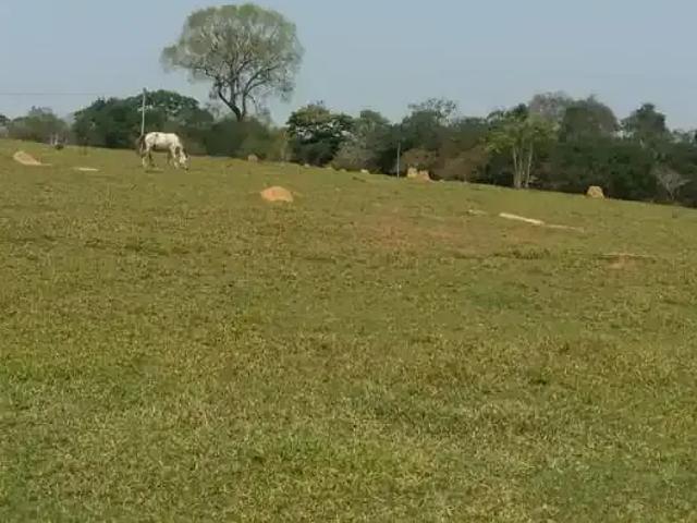 Terreno / Lote para Venda em Salto/SP Jardim Buru