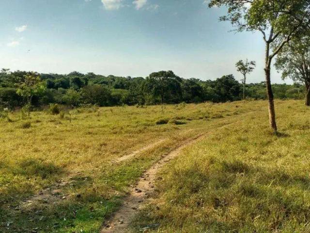 Terreno / Lote para Venda em Salto/SP Jardim das Nações