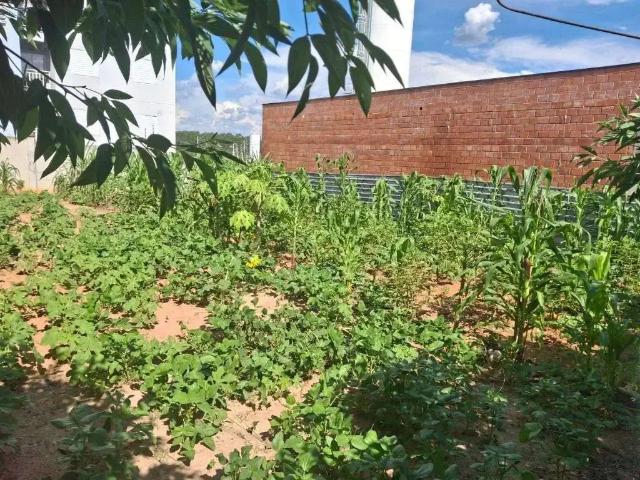Terreno / Lote para Venda em Salto/SP Jardim das Nações