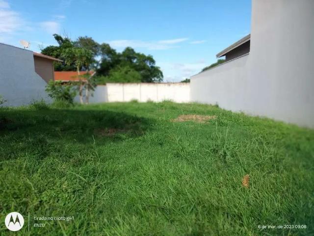 Terreno / Lote para Venda em Salto/SP Jardim Donalísio