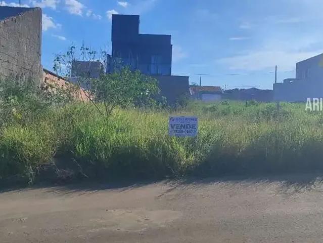 Terreno / Lote para Venda em Salto/SP Jardim dos Ipês