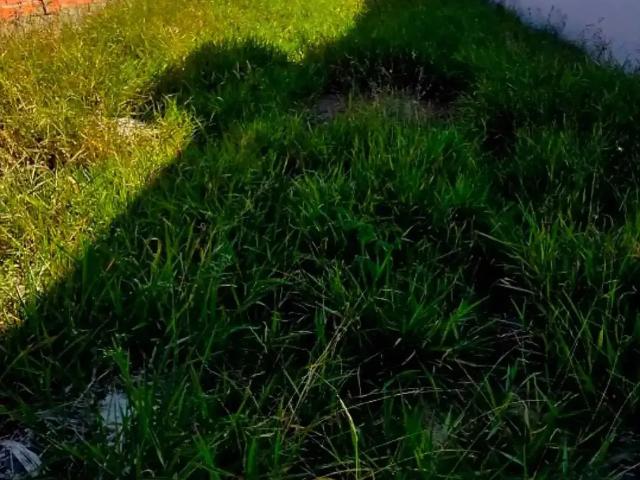 Terreno / Lote para Venda em Salto/SP Jardim Novo São Pedro