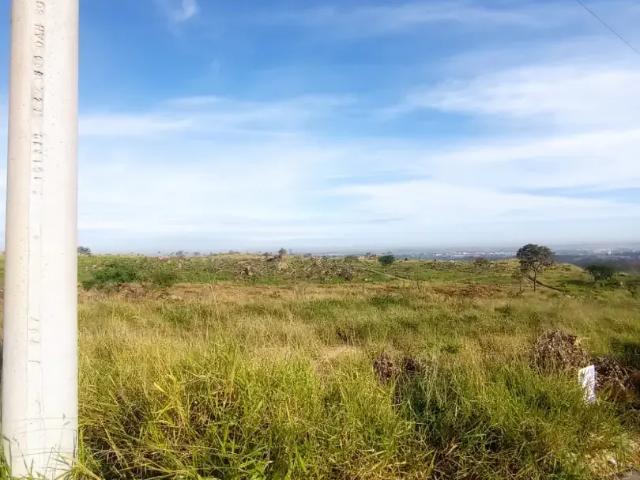 Terreno / Lote para Venda em Salto/SP Jardim Santa Efigênia