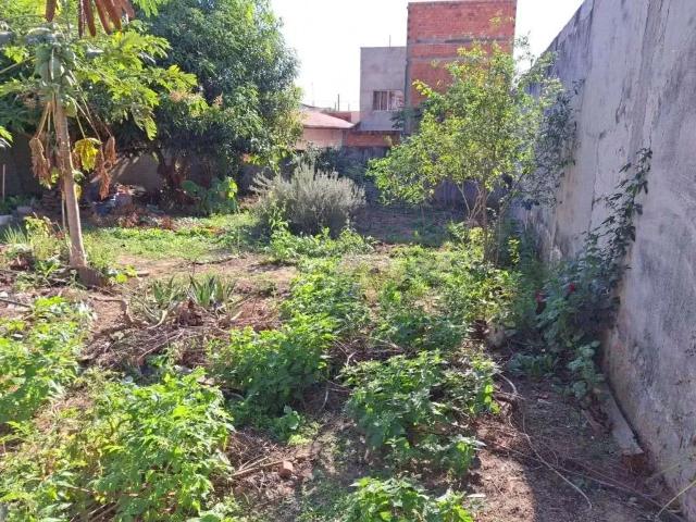 Terreno / Lote para Venda em Salto/SP Jardim Santa Marta III
