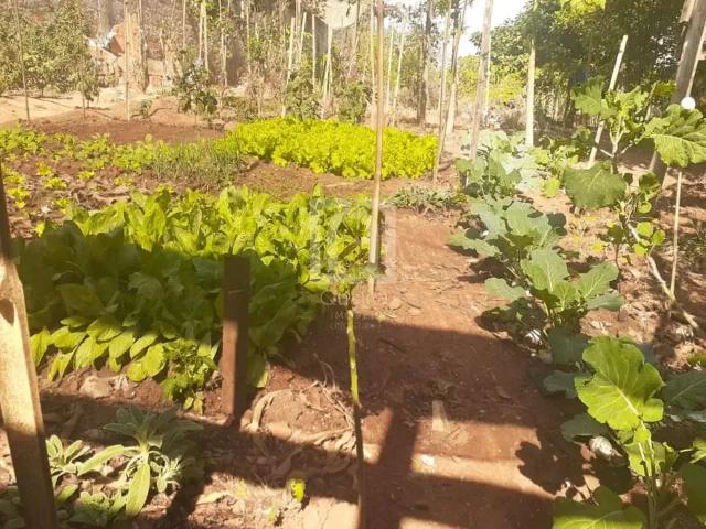 Terreno / Lote para Venda em Salto/SP Residencial Porto Seguro