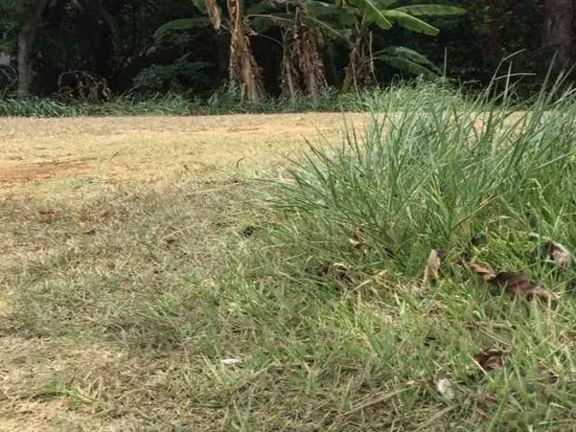 Terreno / Lote para Venda em Salvador/BA Alphaville I