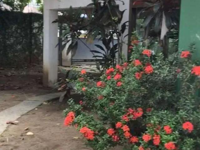 Terreno / Lote para Venda em Salvador/BA Caminho das Árvores