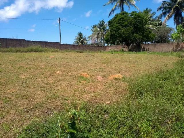 Terreno / Lote para Venda em Salvador/BA Cassange