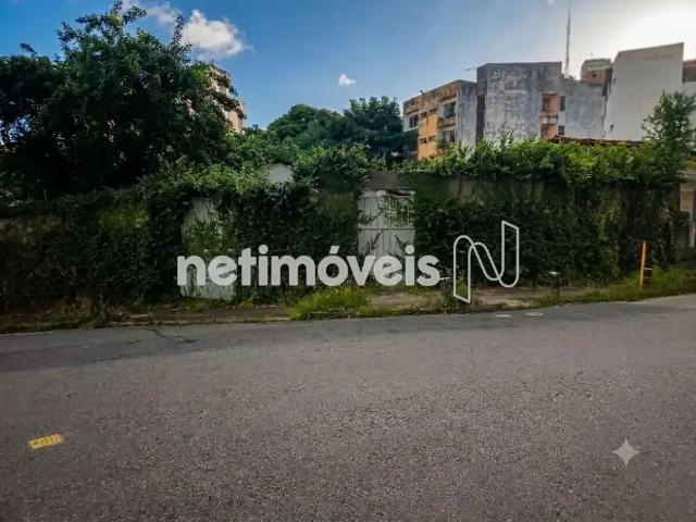 Terreno / Lote para Venda em Salvador/BA Federação