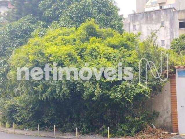 Terreno / Lote para Venda em Salvador/BA Jardim Apipema