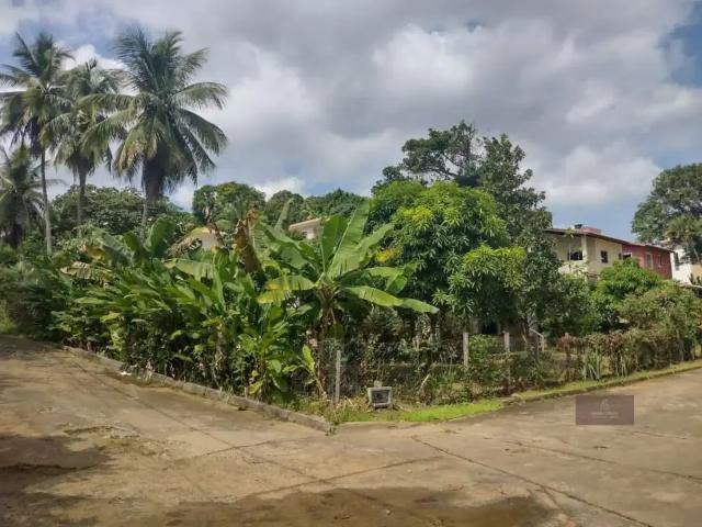 Terreno / Lote para Venda em Salvador/BA Pituaçu
