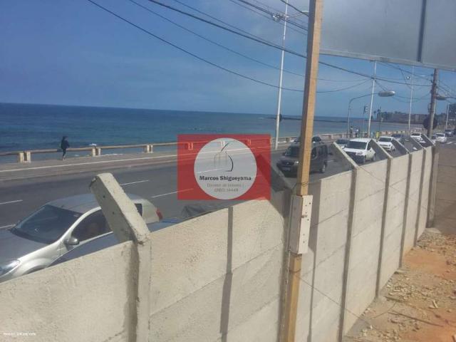 Terreno / Lote para Venda em Salvador/BA Pituba