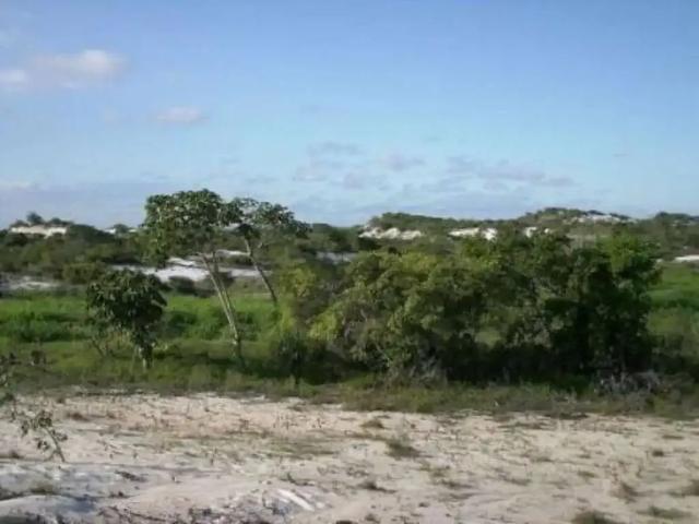 Terreno / Lote para Venda em Salvador/BA Stella Maris