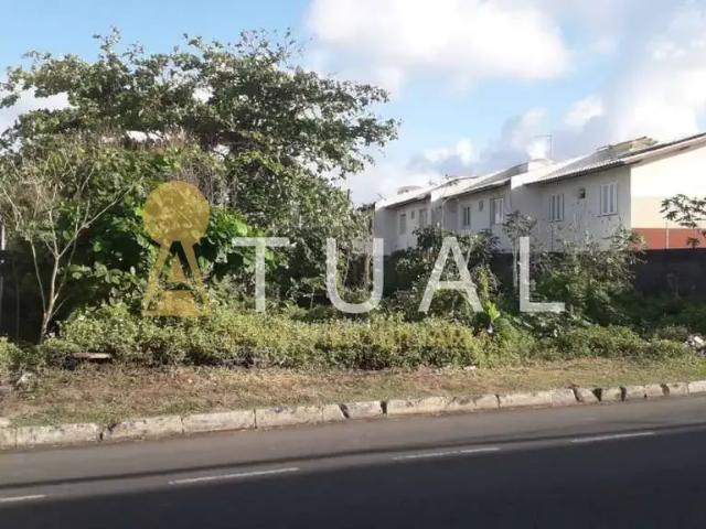 Terreno / Lote para Venda em Salvador/BA Stella Maris