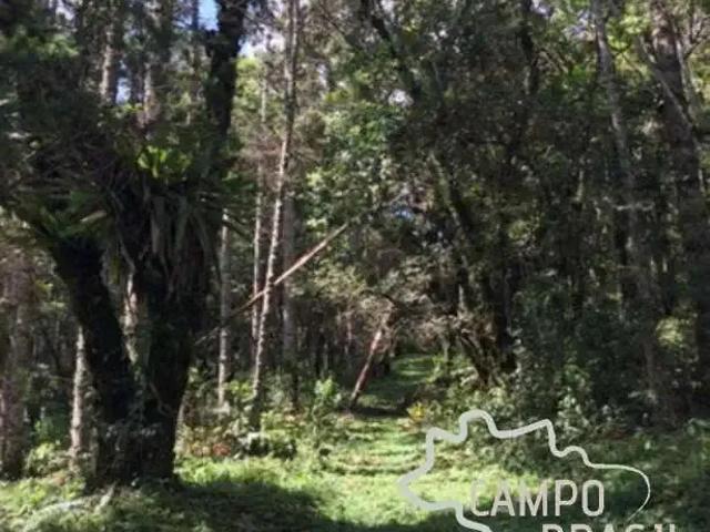 Terreno / Lote para Venda em Sapucaí Mirim/MG Zona Rural