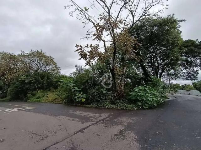 Terreno / Lote para Venda em Sapucaia do Sul/RS Vila Verde