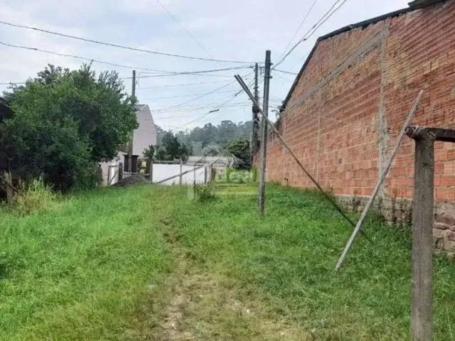 Terreno / Lote para Venda em Sapucaia do Sul/RS Boa Vista