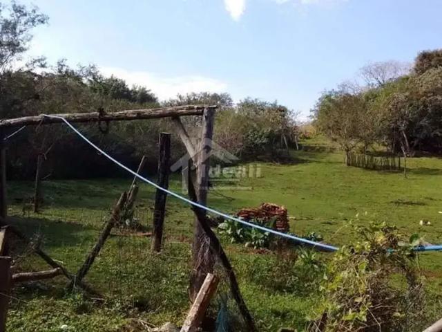 Terreno / Lote para Venda em Sapucaia do Sul/RS Camboim