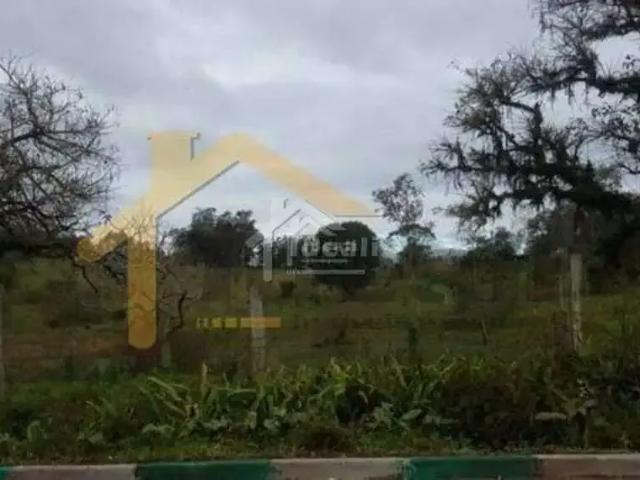 Terreno / Lote para Venda em Sapucaia do Sul/RS Carioca