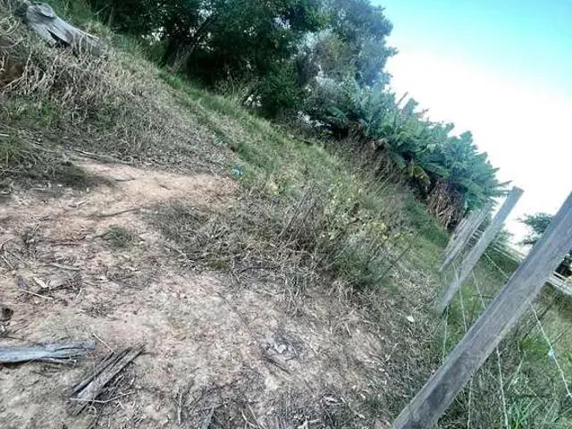 Terreno / Lote para Venda em Sapucaia do Sul/RS Novo Horizonte