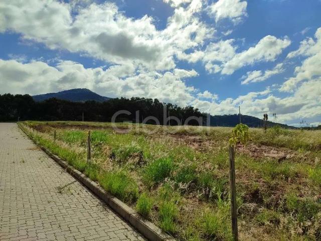 Terreno / Lote para Venda em Sapiranga/RS Amaral Ribeiro