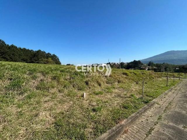 Terreno / Lote para Venda em Sapiranga/RS Amaral Ribeiro