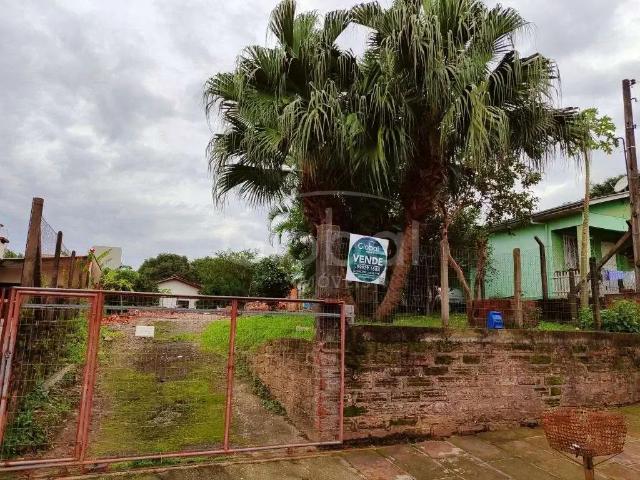 Terreno / Lote para Venda em Sapiranga/RS Amaral Ribeiro