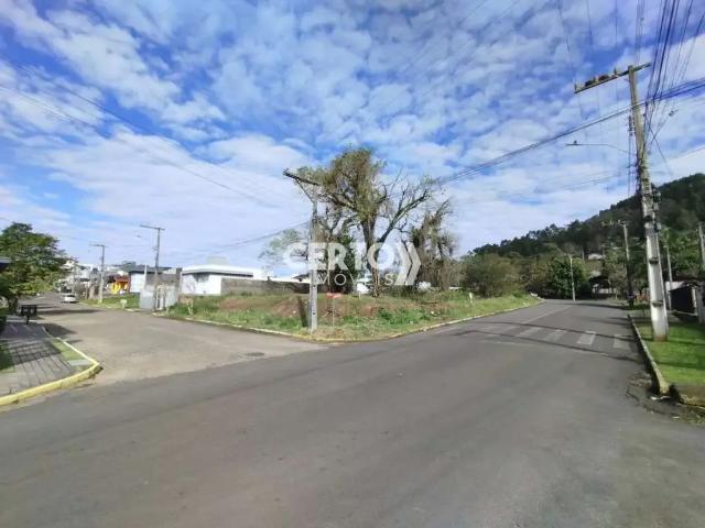 Terreno / Lote para Venda em Sapiranga/RS Centenário
