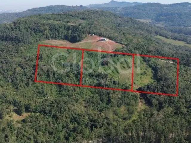 Terreno / Lote para Venda em Sapiranga/RS Centenário